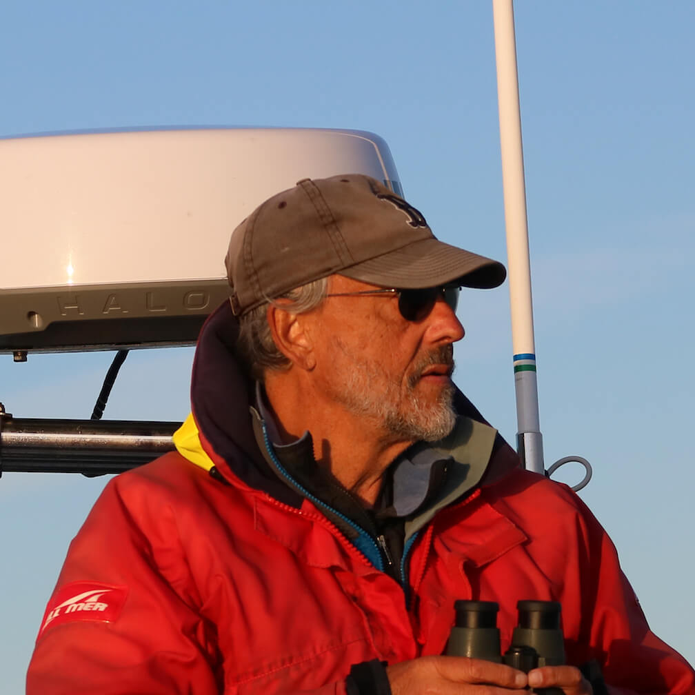 Richard Sears - Baleines en direct