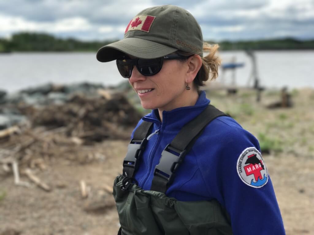 Tonya Wimmer - Baleines en direct