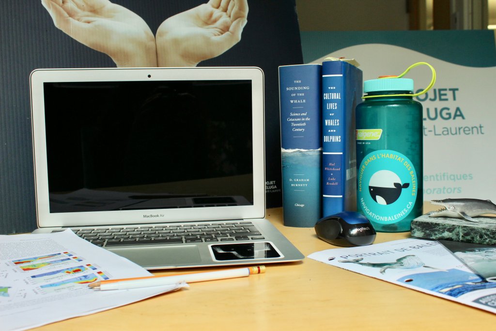Writing a Popular Science Article in 10 Easy Steps - Baleines en direct Writing a Popular Science Article in 10 Easy Steps - Baleines en direct