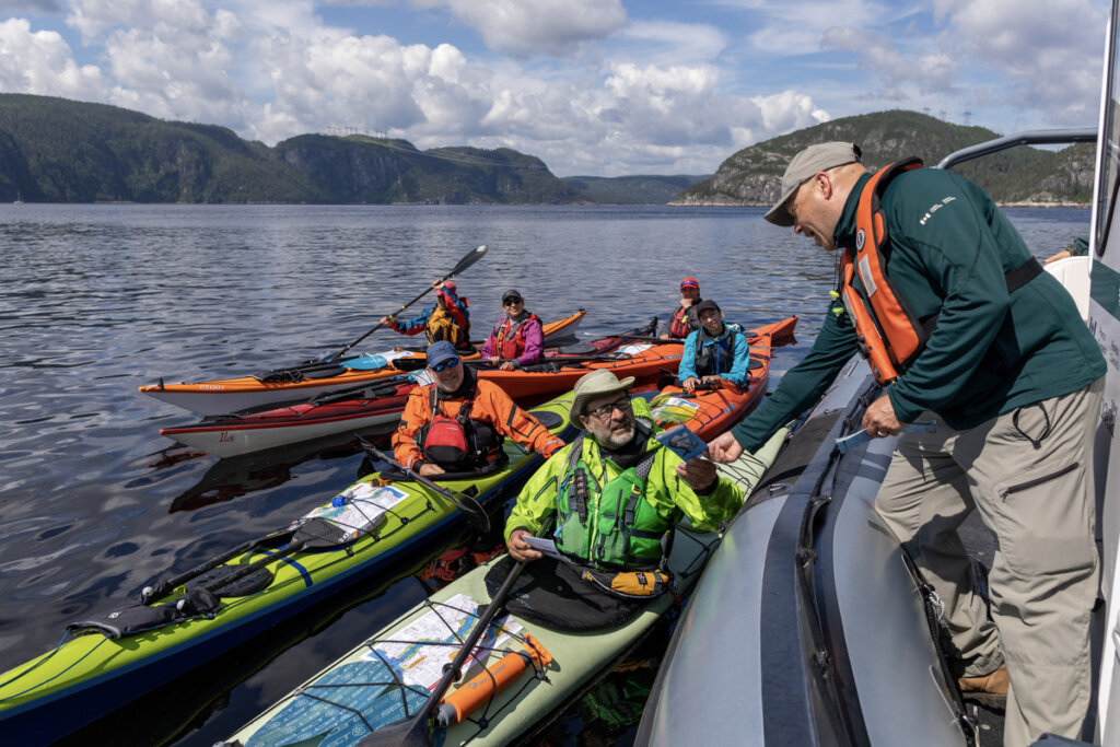 Teamwork for Whale Protection - Baleines en direct