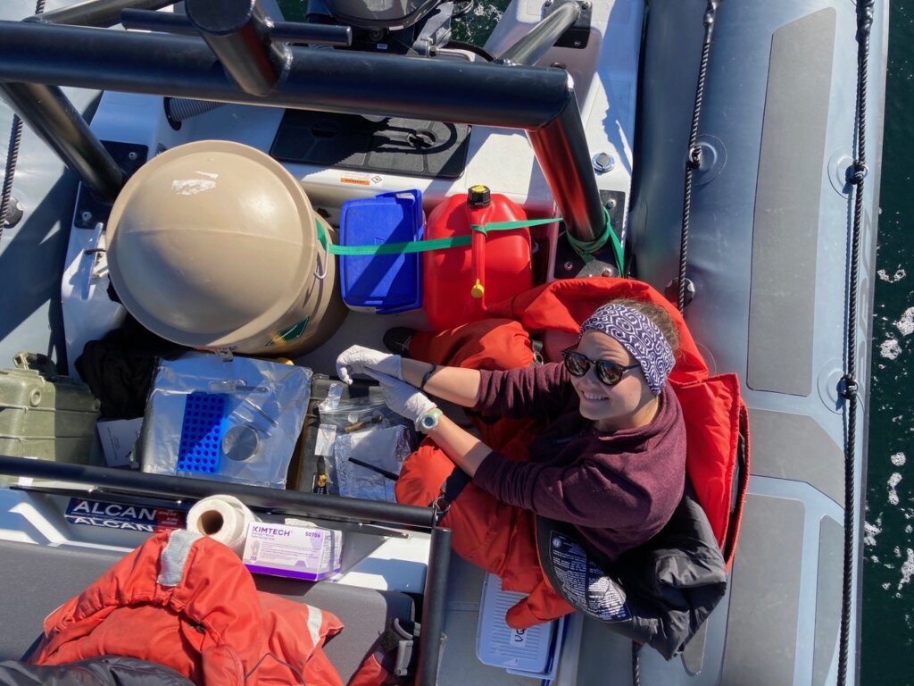 Meredith Sherrill: An Example of Tenacity for Working with Whales ...