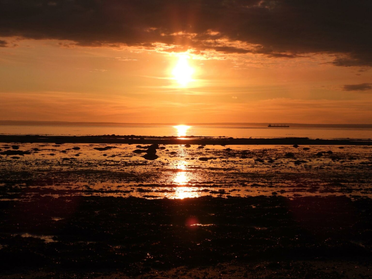 Archives des couvert de glace - Baleines en direct